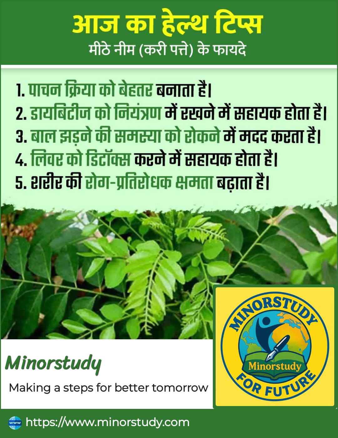 9 Powerful Benefits of Sweet Neem (Curry Leaves) That Will Amaze You ...